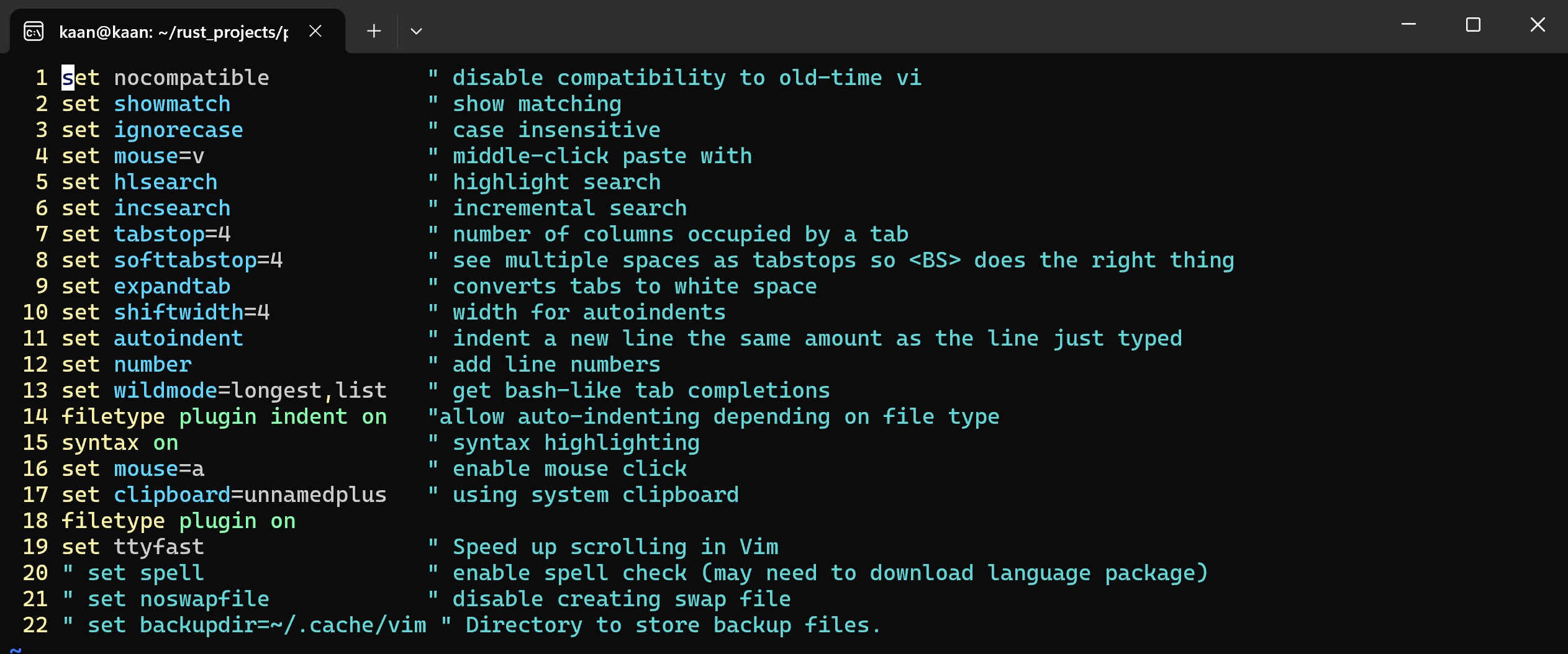 1. Neovim Kurulumu - Kaan Akgundogdu